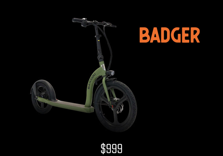 eBikes and eScooters - Bakcou