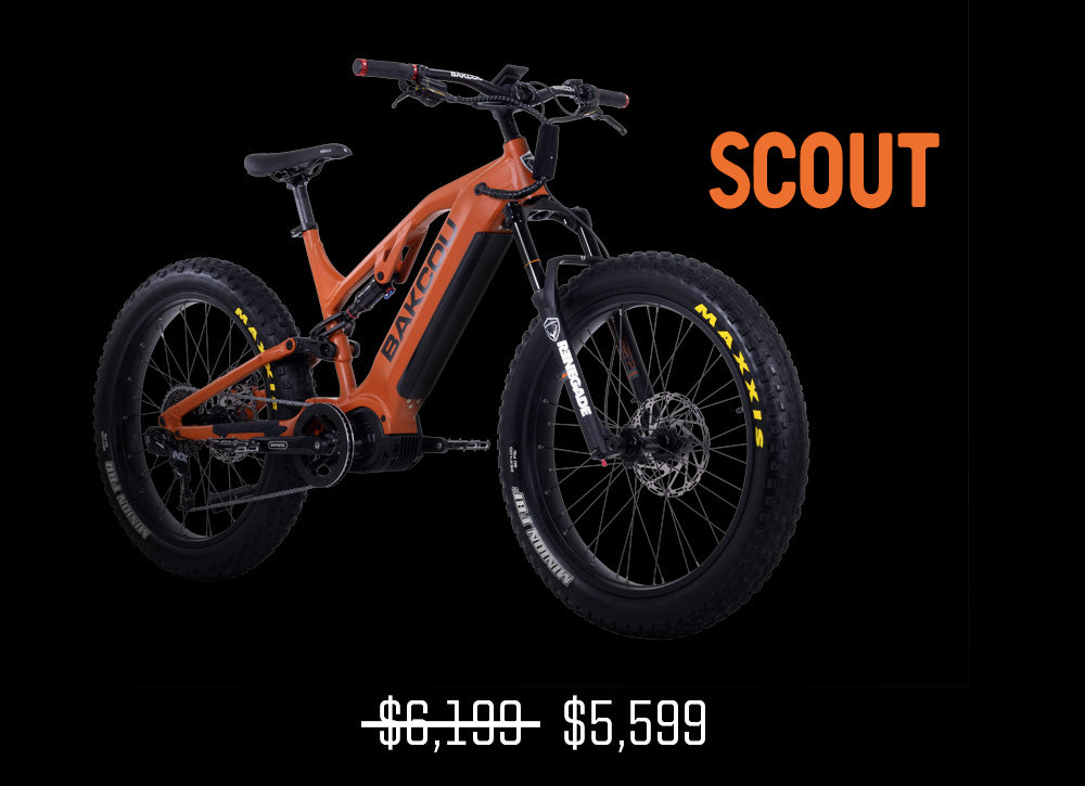 eBikes and eScooters - Bakcou