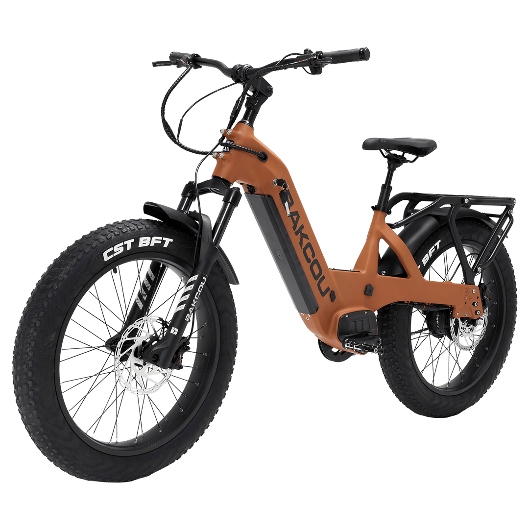 Flatlander SD eBike | Long-Range Electric Bikes | Bakcou