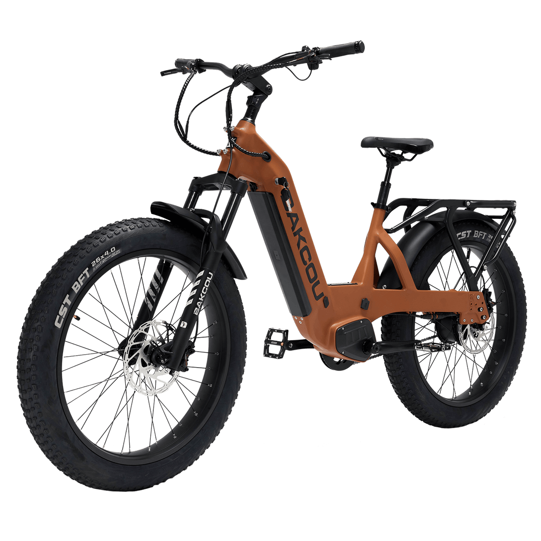 Flatlander SD eBike | Long-Range Electric Bikes | Bakcou